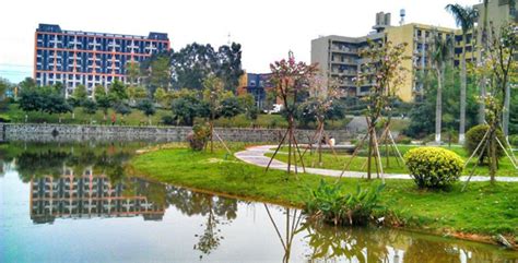广东岭南现代技师学院校园环境 广东岭南现代技师学院