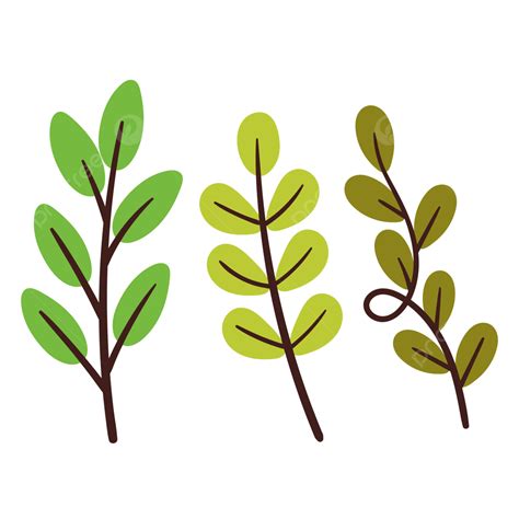 만화 식물과 잎 벡터 공장 나뭇잎 식물 그림 Png 일러스트 및 벡터 에 대한 무료 다운로드 Pngtree
