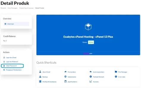 panduan lengkap cara reset password cpanel anda