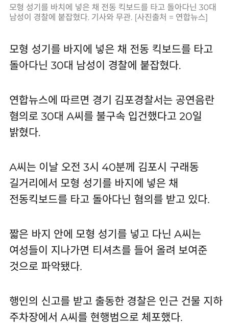 여성 지나가면 갑자기 옷을…모형성기 바지 안에 넣고 킥보드 탄 30대男 인스티즈 Instiz 이슈 카테고리