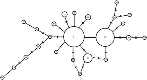 Minimum Spanning Network Showing The Relationships And Relative Download Scientific Diagram
