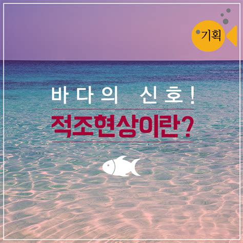 적조가 생기는 이유 적조 현상의 원인은 네이버 블로그