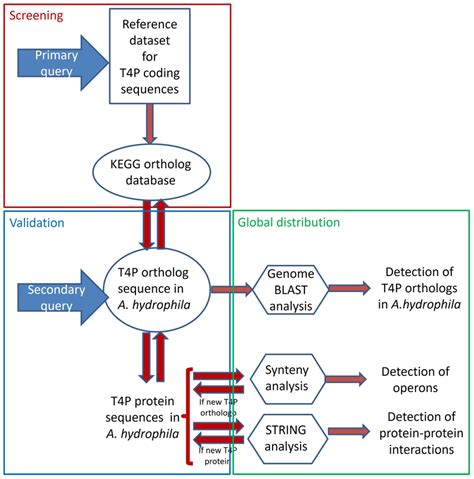 Detailed Experimental Design And Step By Step Workflow Download Scientific Diagram
