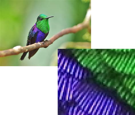 1 Binary Mosaic Coding Carres 1 Binary Mosaic Coding Carres