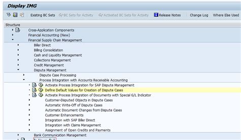 Solved Not Getting Dispute Case Related Fields In Fbl5n Sap Community