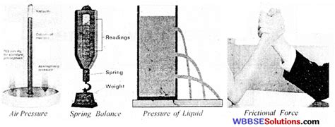Wbbse Class 8 Science Solutions Chapter 11 Force And Pressure Wbbse Solutions