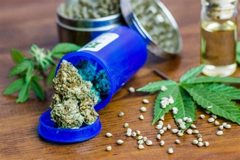 Рада таки легалізувала медичний канабіс 248 голосів Останні та актуальні новини України та