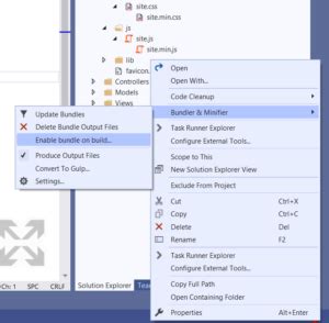 How To Implement ASP NET Core Bundling And Minification Pro Code Guide