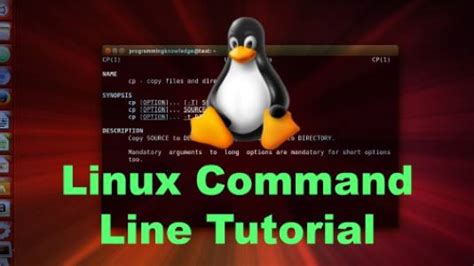 La Command Line Linux Alcuni Comandi Principali Del Terminale Bash