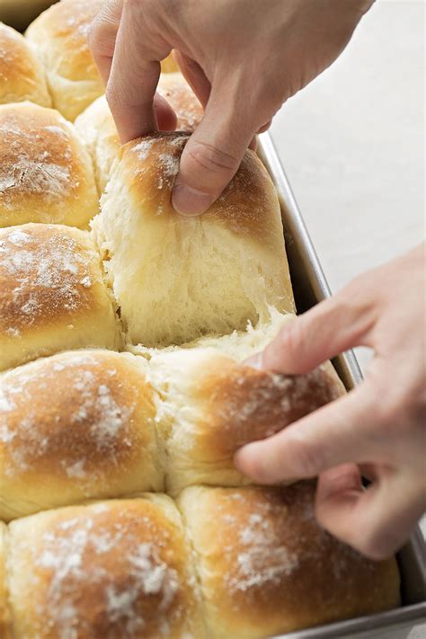 Potato Rolls Recipe Homemade Dinner Rolls Thanksgiving Recipes