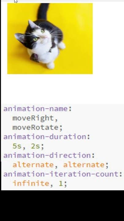 CSS multiple animations - YouTube