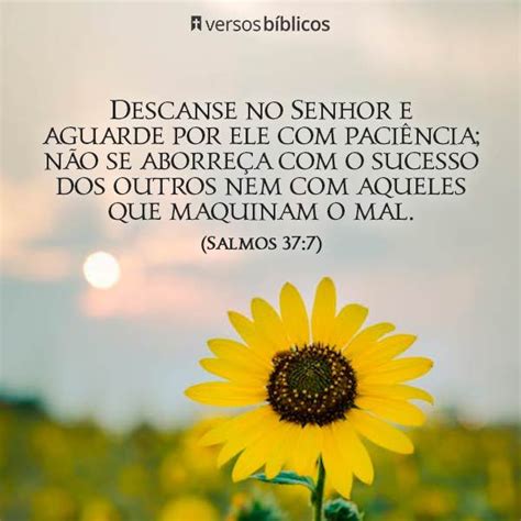 Mensagens Bíblicas De Fé E Esperança Versículos Bíblicos Versículos