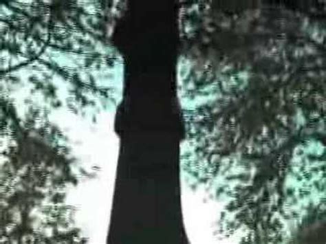 Alex Has Sex With Tree YouTube
