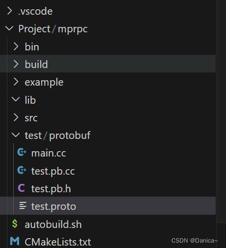 Protobuf C Proto C Csdn