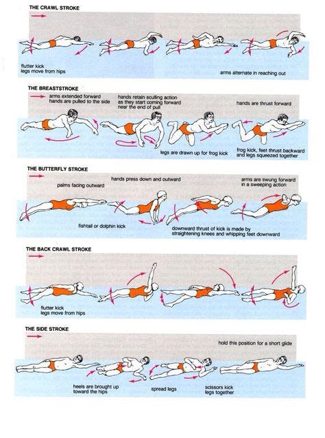 100 Schwimmen Ideen Schwimmen Schwimm Training Schwimmtraining