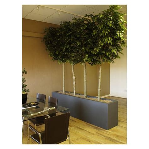 Fine Beautiful Artificial Pleached Trees Balsam Hill Tree Decorating Videos