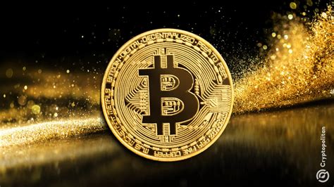 調査：btc所有権は2024年に大きな変化を経験しました。2025年に新しいユーザーが期待されていました。クリプトポリタン