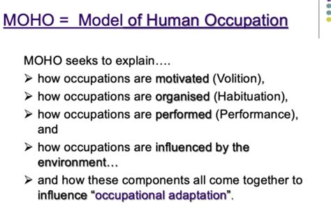 Week One Moho Flashcards Quizlet