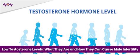 Low Testosterone Levels What They Are And How They Can Cause Male