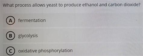 Solved What Process Allows Yeast To Produce Ethanol And Carbon Dioxide