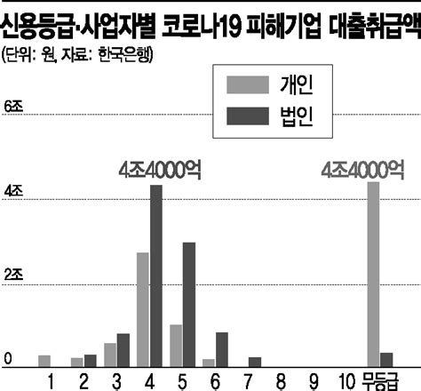 Medigate News 코로나 피해기업 지원대출 23 無신용등급 개인사업자