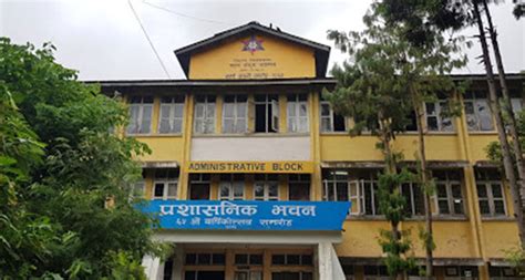 पाटन क्याम्पसको स्ववियु सभापतिमा नेविसंघका बागी उम्मेदवार विजयी