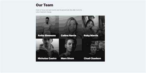 grayscale to colour animation on hover for team section codemyui
