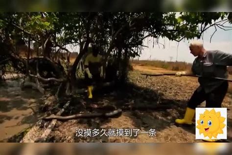 男子捕获3米长手臂粗的黄鳝炫耀， 朋友警告后吓得扔出百米