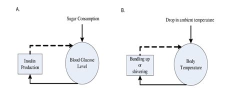Examples Of Negative Feedback Regulation That Compensates For A Download Scientific Diagram
