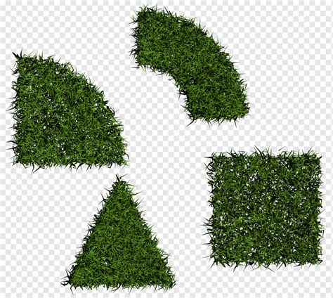 Desktop Tree View Grass Desktop Wallpaper Map Png PNGWing