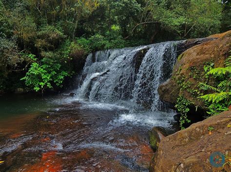 Kodaikanal Munnar Winter Trekking Expedition Tripoto