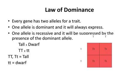 Mendelian Laws Of Inheritance Ppt