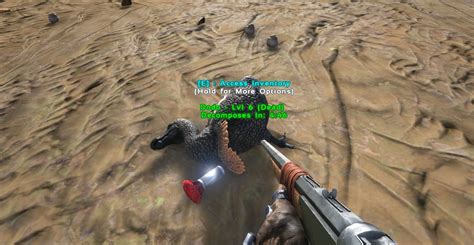 Mod Sedative Longneck Rifle Dart Ark Survival Evolved