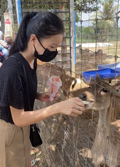 Review My Trip To Selangor Fruit Valley Sfv Ticket And Activities 2024