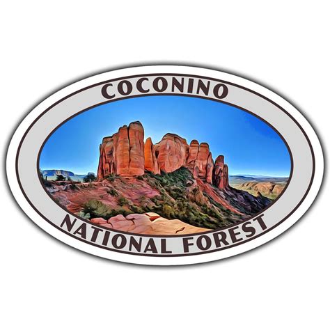 Coconino National Forest Sticker Coconino Sticker Vinyl Sticker 3 25 X 2 1 To 6 25 X 4