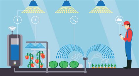 Flowing Forward Enhancing Water Use Efficiency For A Sustainable And Resilient Future