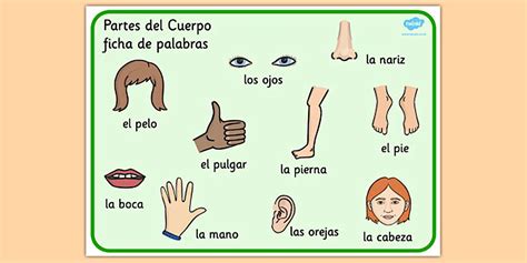 Spanish Parts Of The Body Word Mat Twinkl
