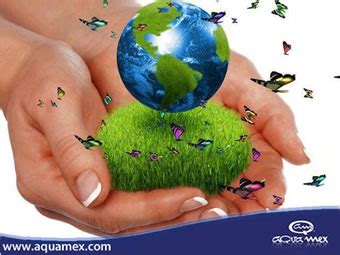 C Mo Todos Podemos Ayudar Al Medio Ambiente