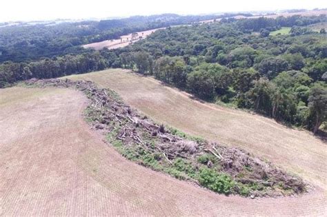 Brigada Militar Flagra DestruiÇÃo De Mais De 27 Hectares De Mata