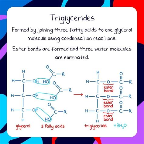 Zoë Huggett Tutorials A Level Biology Chemistry Tuition and Revision in 2023 A level