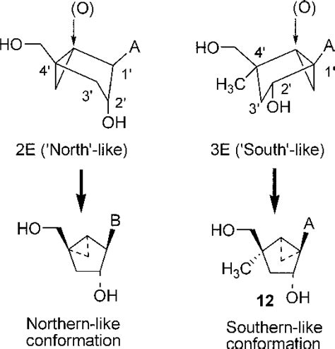 Figure 1 From The First Synthesis Of Dually Modified Southern Mimicking Nucleoside 4 Methyl