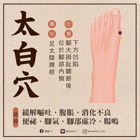 健康20 穴道大百科 太白穴 此穴位對於健脾補脾非常好 脾虛很多人都有這個狀況 因此容易腹脹、消化不良