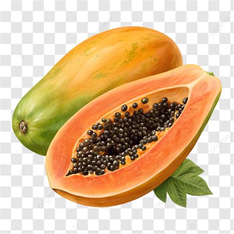 신선한 익은 파파야 자연의 건강과 맛을위한 육즙 보물 파파야 과일 음식 Png 일러스트 및 이미지 에 대한 무료 다운로드 Pngtree