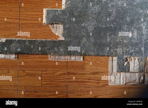A View Of Partially Removed Hardwood That Had Been Glued To A Concrete Floor Stock Photo Alamy