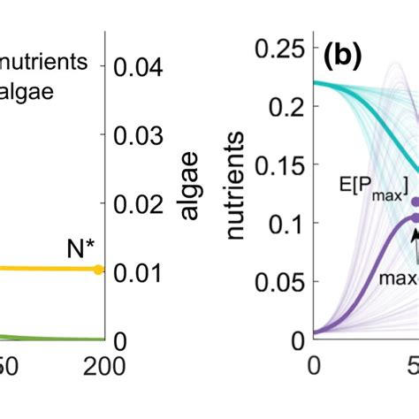 A Comparison Of Expected Total Algae Present Throughout The Algal