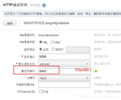 Tongweb及应用系统安全加固萝卜白菜 Csdn Csdn博客
