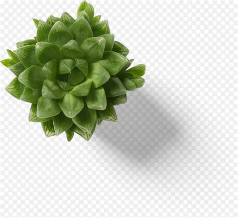 Png Png