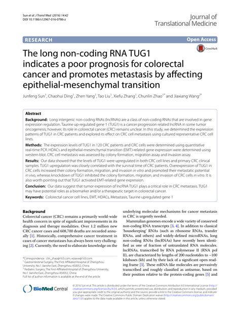 Pdf The Long Non Coding Rna Tug1 Indicates A Poor Prognosis For