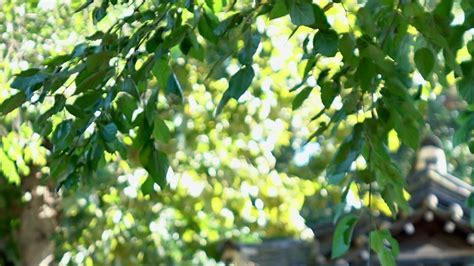 어린이박물관 특별전 나무를 만나다 Youtube