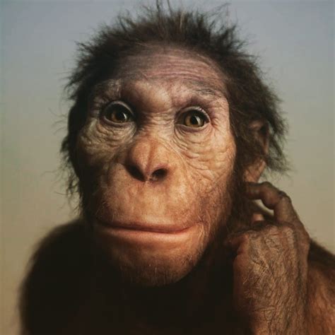 Elisabeth Daynes On Instagram “•• Sediba•• Paleoart Australopithecus